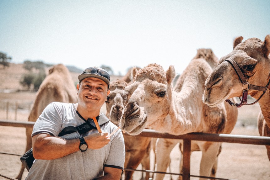 On the road- Oasis Camel dairy, Ramonabetter than authentic